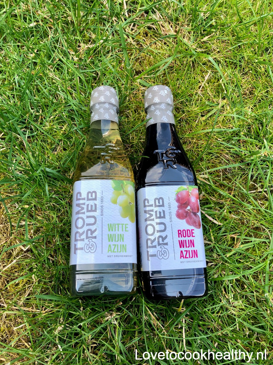 Wat maak je met rode en witte wijnazijn? | Love to cook healthy